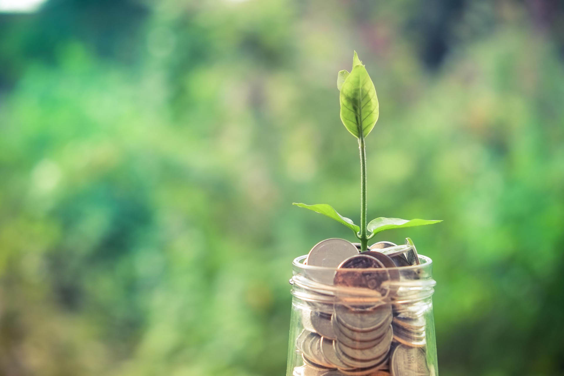 About Us – Amara Capital Plc.